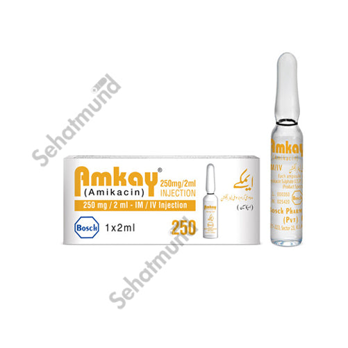 Amkay IV/IM Injection 250mg/2ml – SehatMund Online Medicine