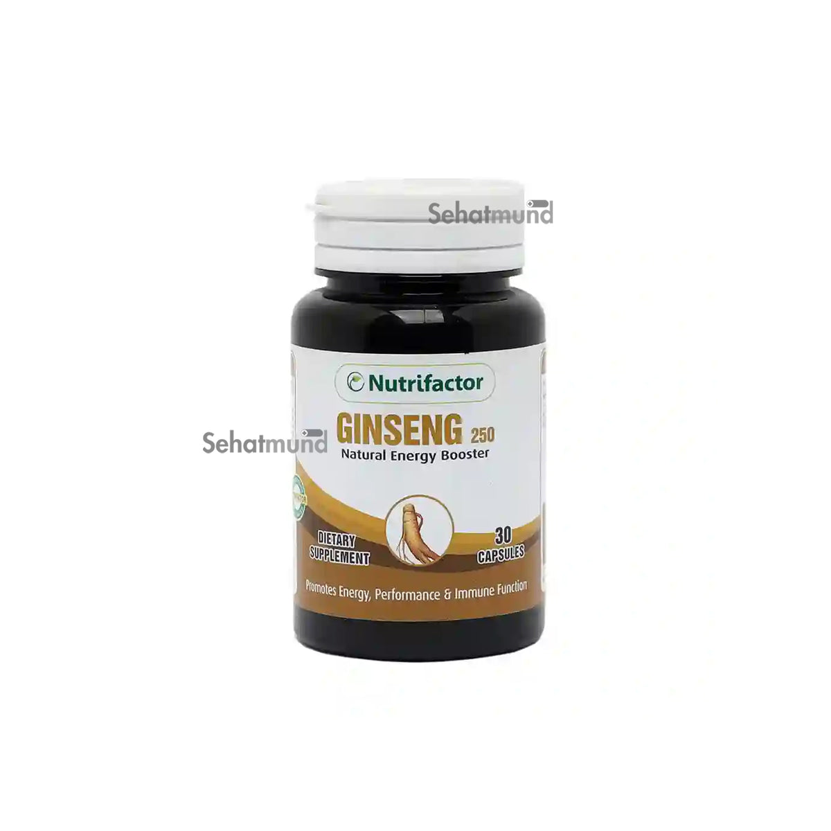 Ginseng Tablet 250mg – SehatMund Online Medicine