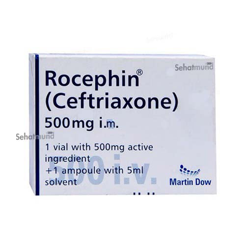 Rocephin IM Injection 500mg – SehatMund Online Medicine